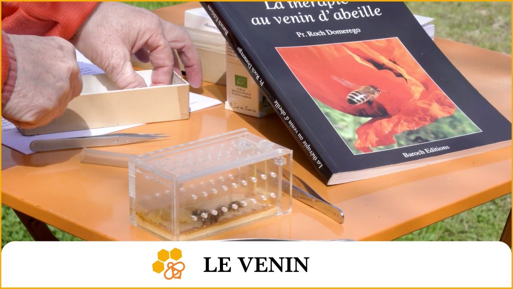 les-bonnes-herbes.com | Ruche